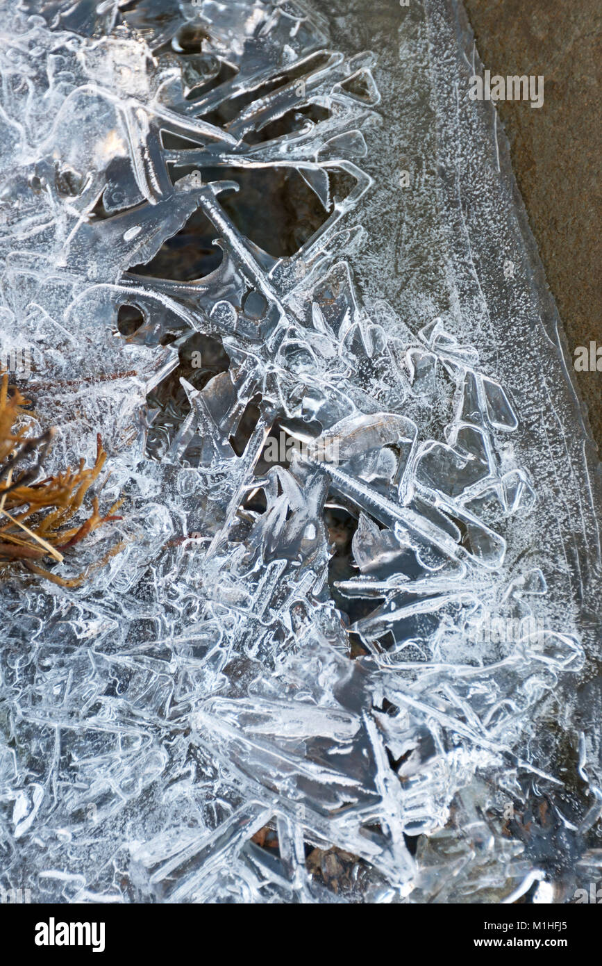 Close-up view of a lattice of ice crystals forming on a stream in ...