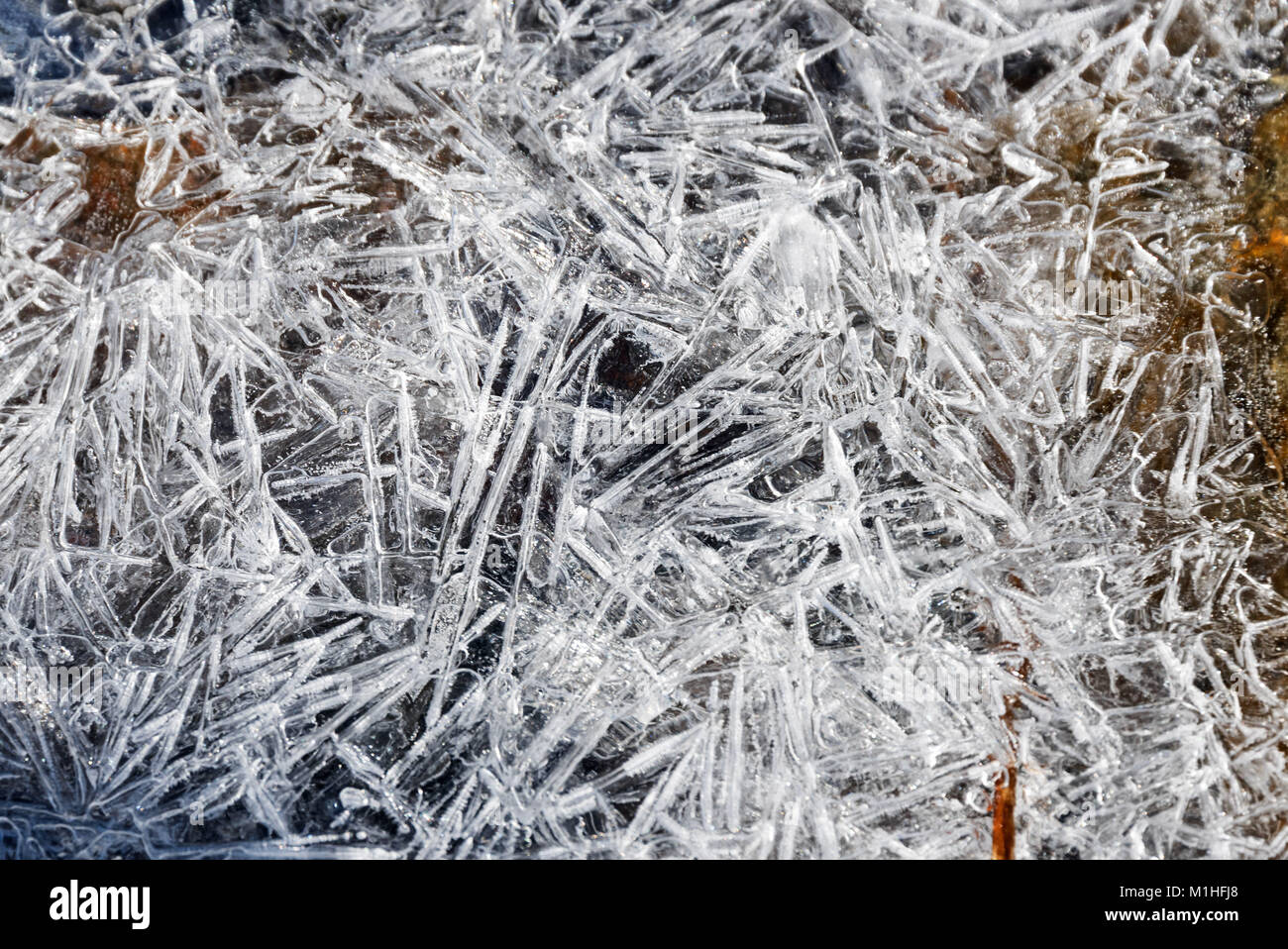 Close-up view of a lattice of ice crystals forming on a stream in ...