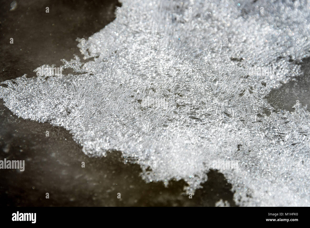 Freezing desert hi-res stock photography and images - Alamy