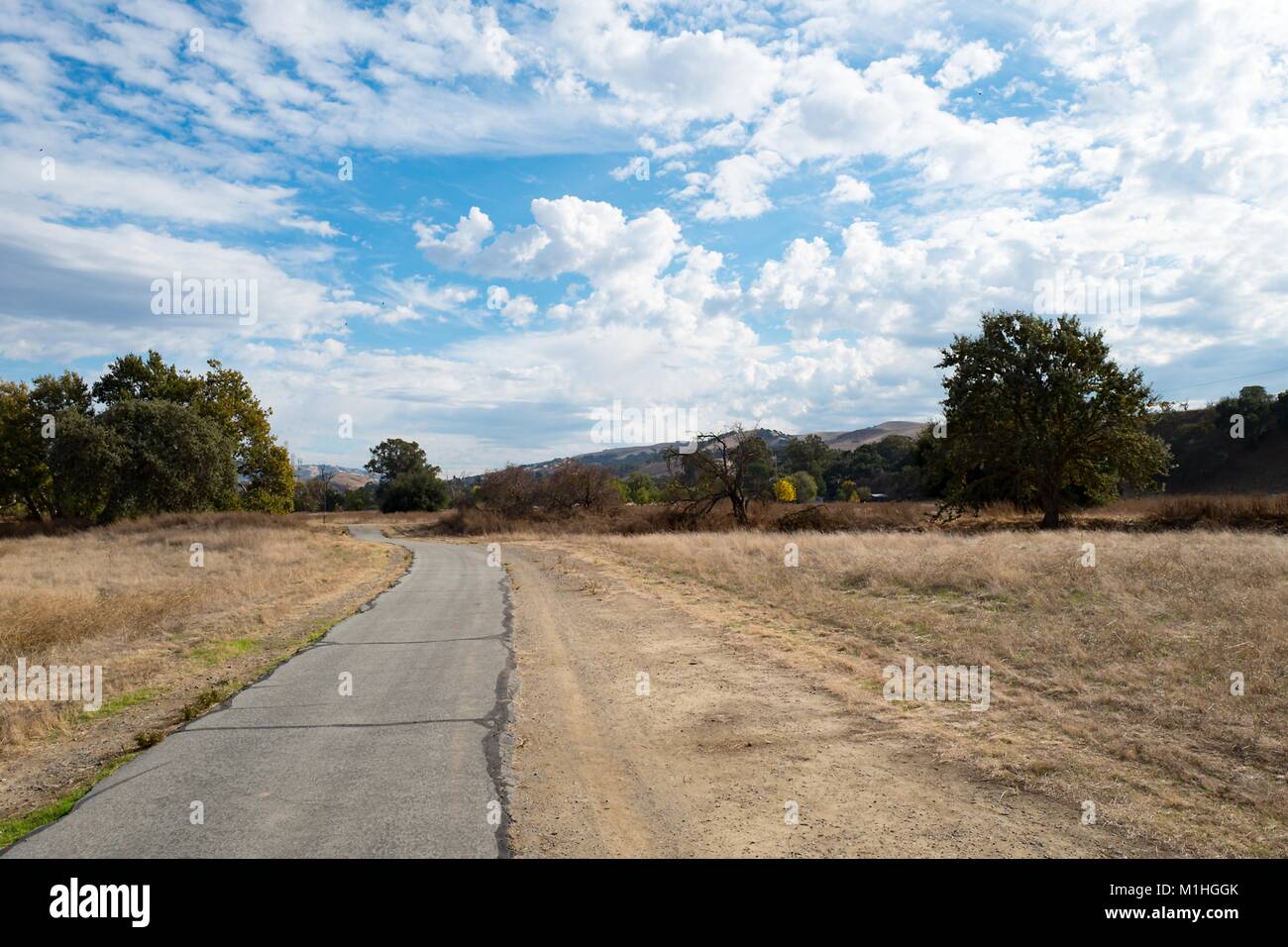 Trail in a secluded area of Sycamore Grove Park under a dramatic sky ...