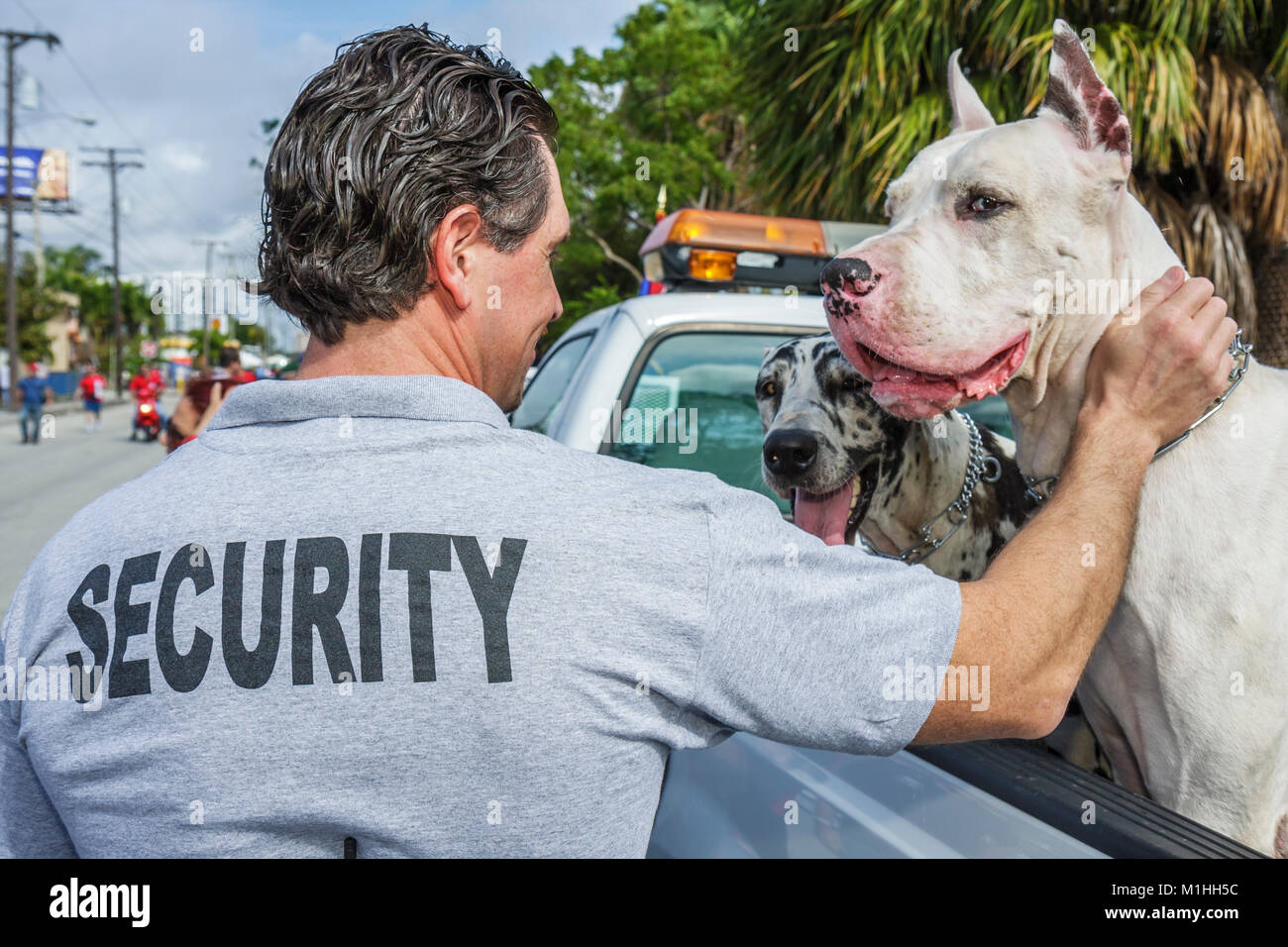 Are Dogs Good Security