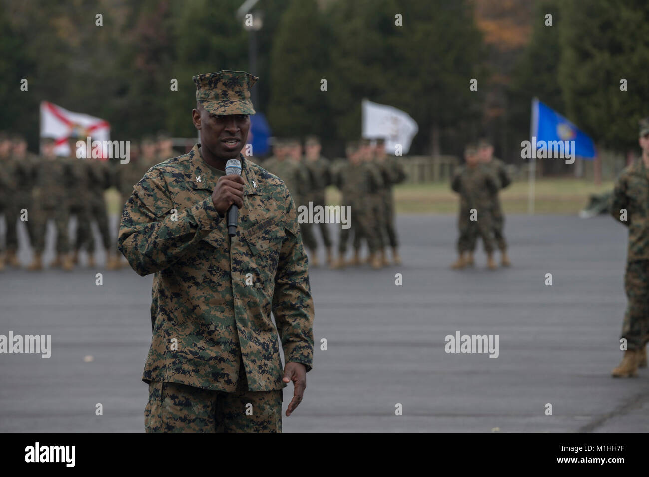 U.S. Marine Corps Col. Ahmed T. Williamson, commanding officer of ...