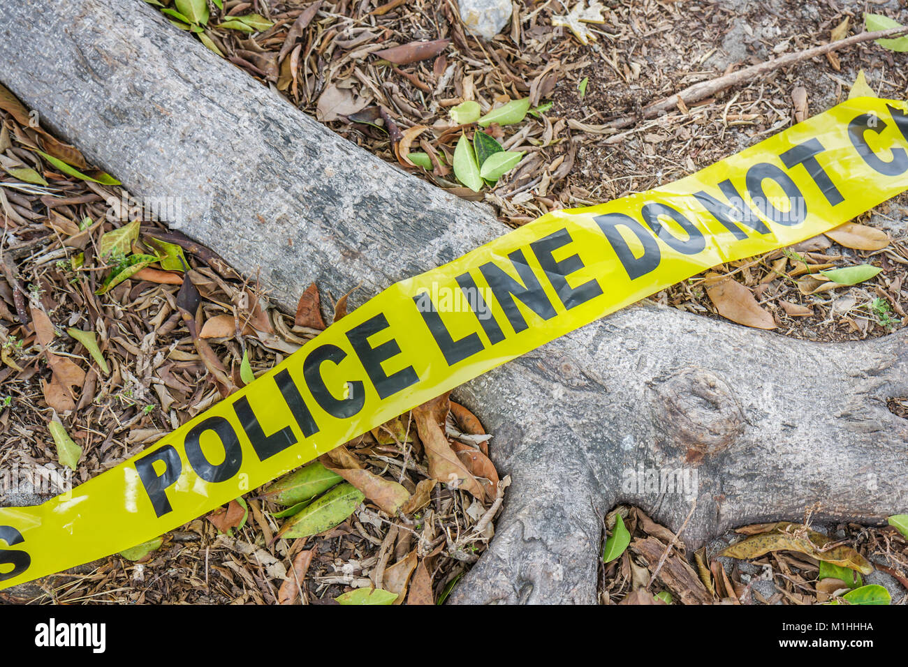 Miami Florida,tape,police line,do not cross,visitors travel traveling ...