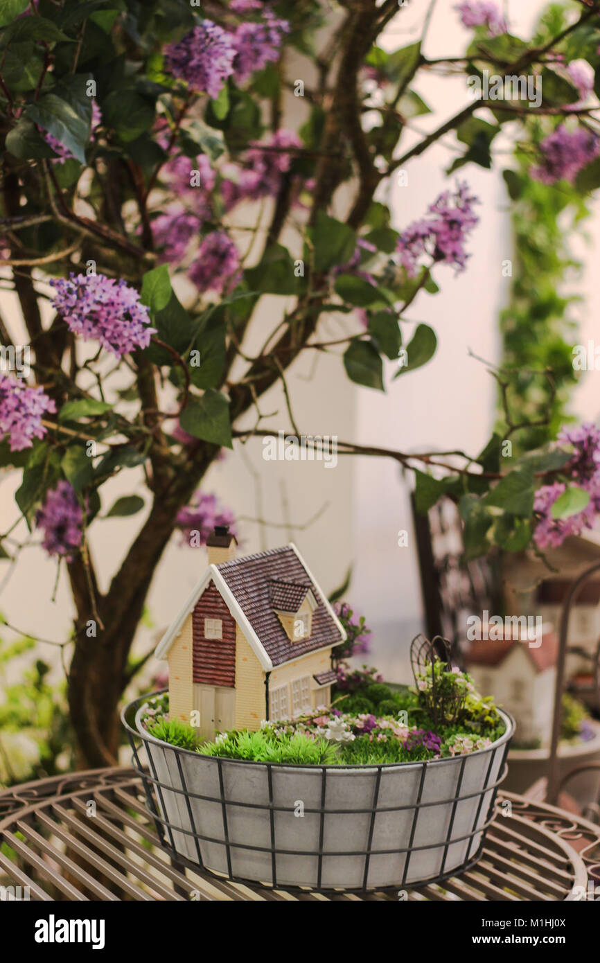 garden lilac tree shadow bird house greenery Stock Photo - Alamy