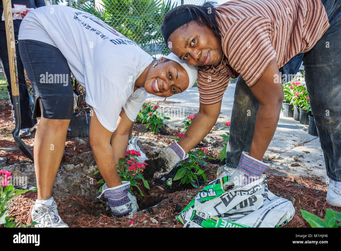 Miami Florida,Allapattah Middle School,campus,Hands On HandsOn Miami ...