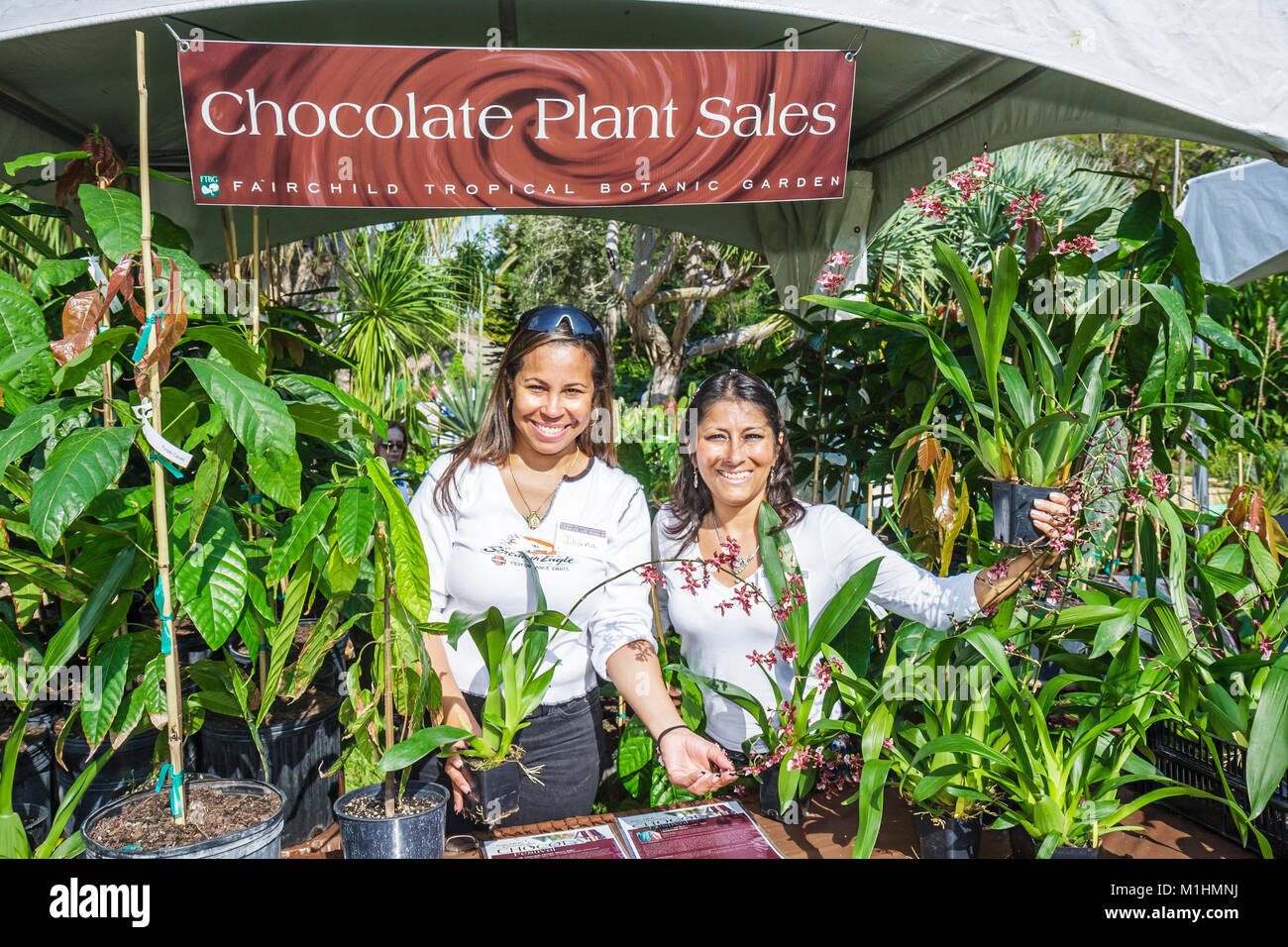 Fairchild Tropical Botanic Garden In High Resolution Stock Photography ...