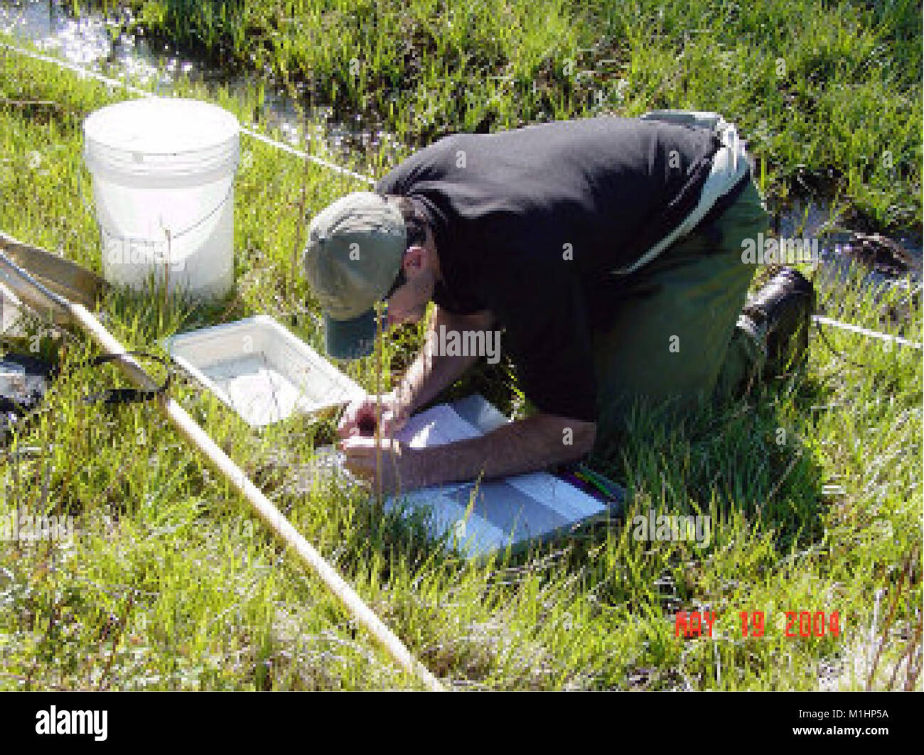 An integrative biological assessment of sites in the Custer National ...
