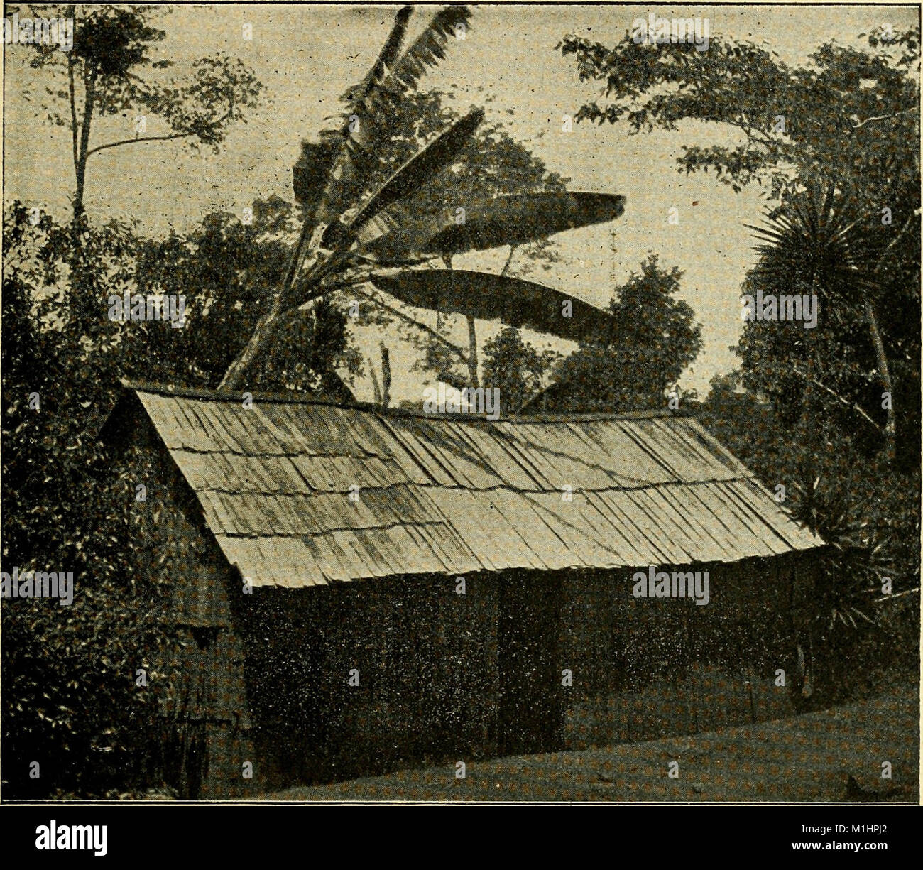 This 1898 publication recounts the history of Cuba's struggle for ...