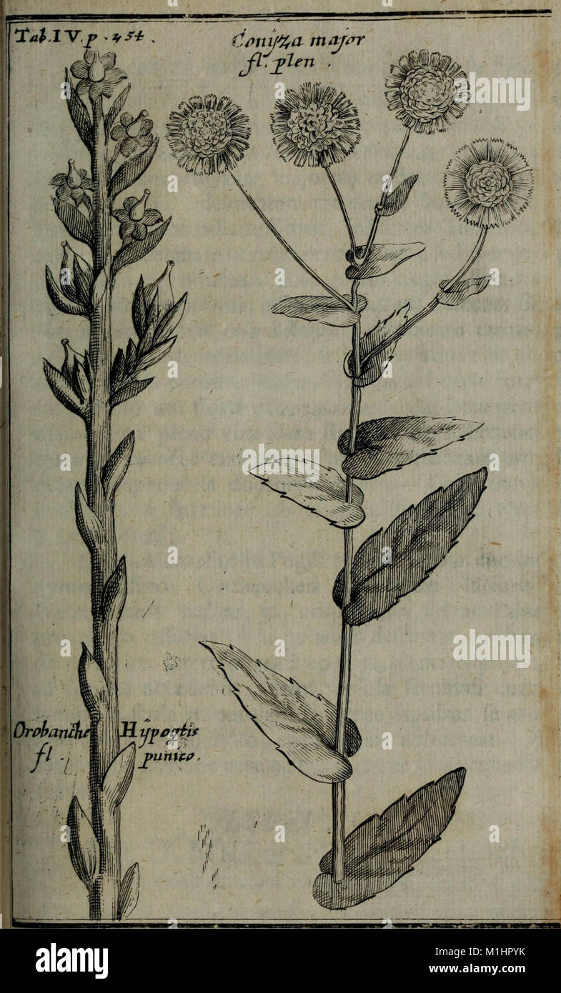 The 1720 Ephemerides, published by the Leopoldina Academy of Natural ...