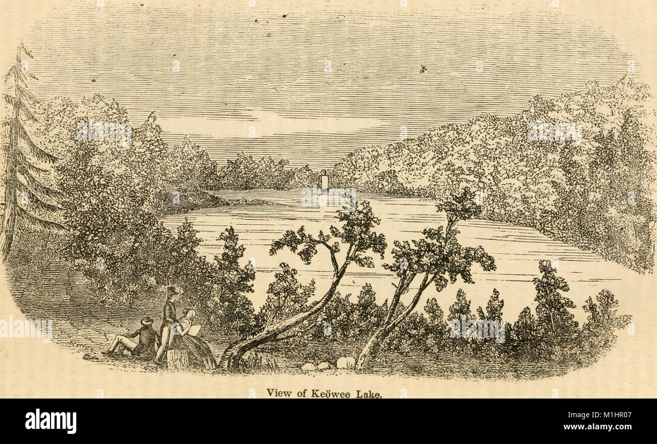 A new and popular Pictorial History of the United States (1848 ...