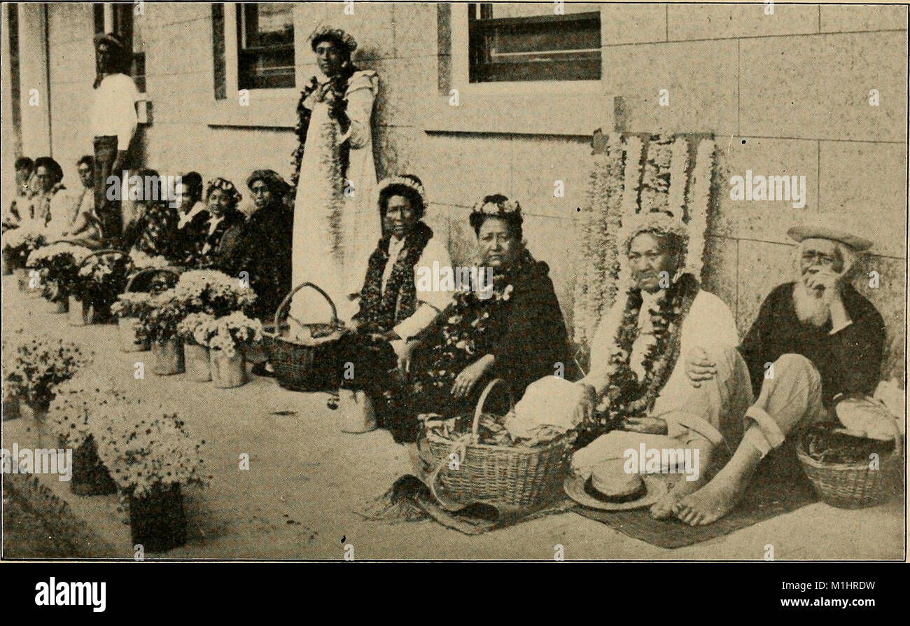This 1907 publication provides an overview of the Pacific islands ...