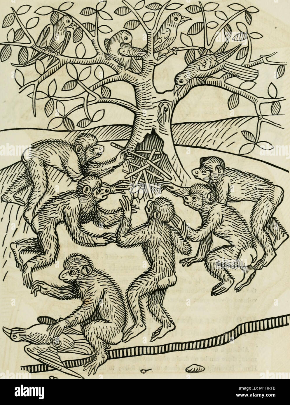 This 1822 work provides a detailed account of the Althorp mansion, its ...