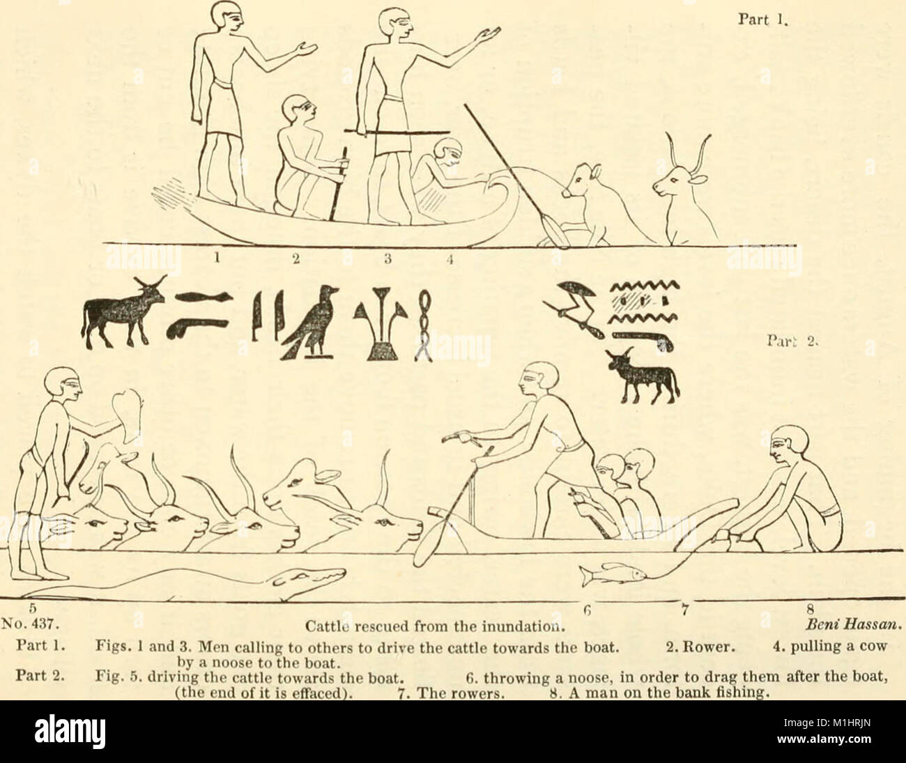 This second series of 'Manners and Customs of the Ancient Egyptians ...