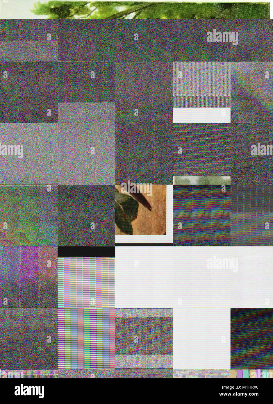 This publication provides an in-depth look at the behavior, habitats ...