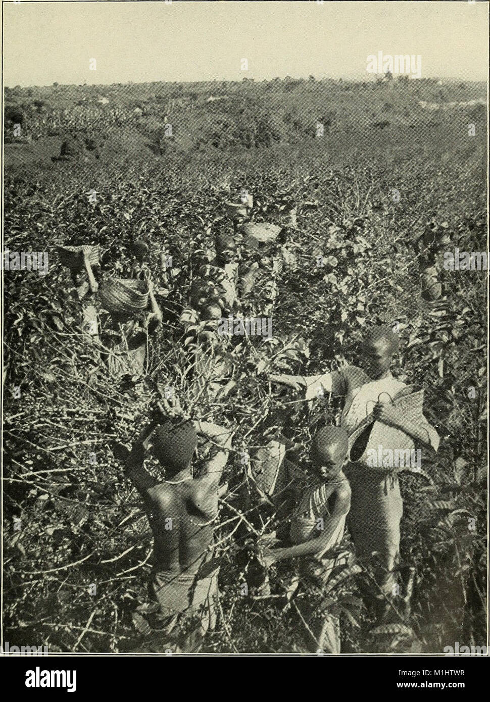 Africa of To-Day (1912) provides an in-depth look at the political ...