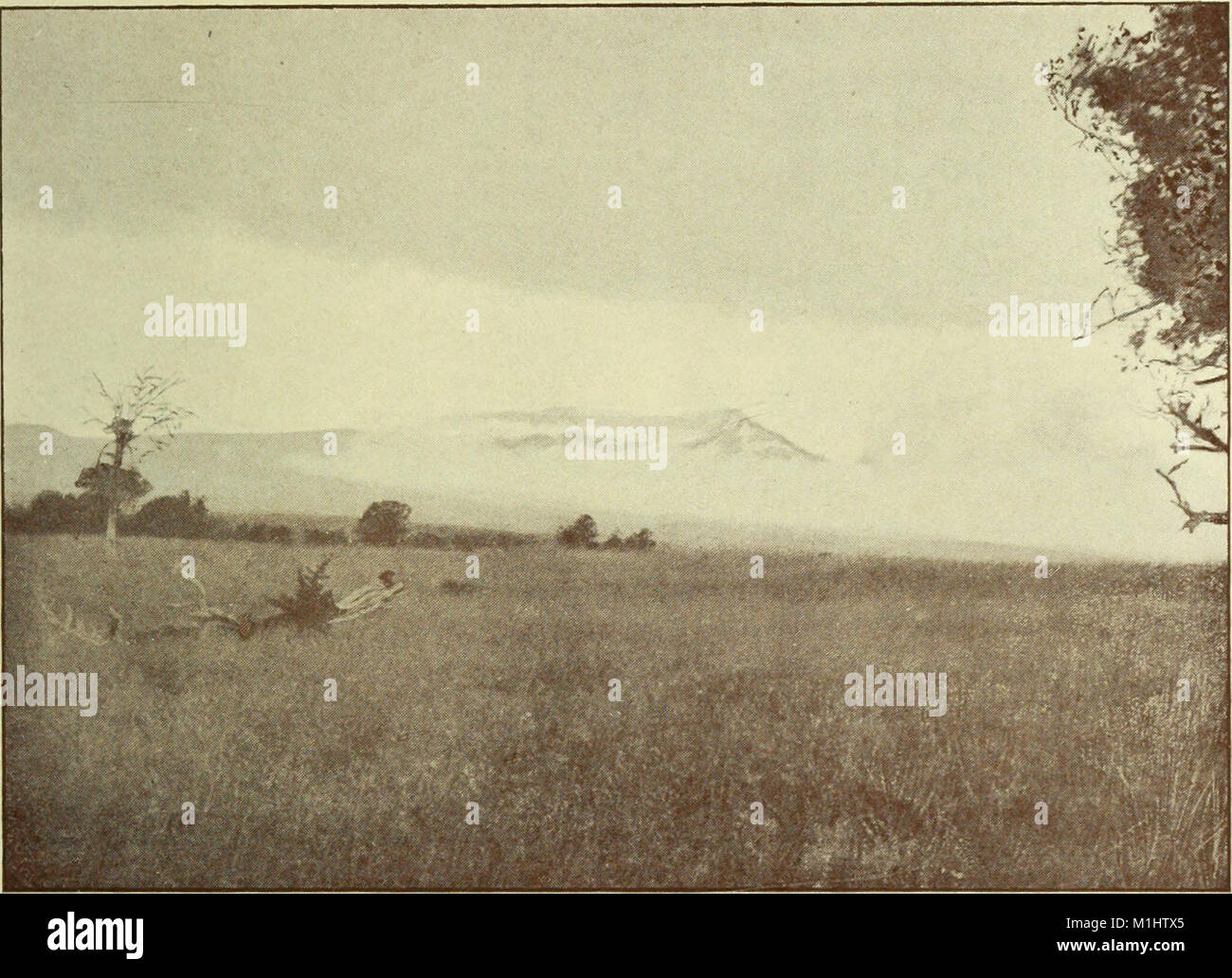 This 1903 account details an ivory trader's expedition through Kikuyu ...