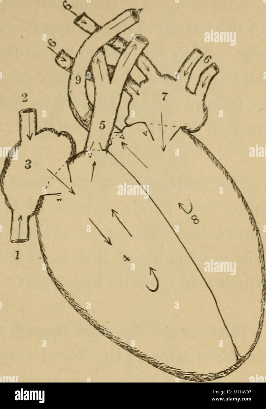 Published in 1889, this textbook is designed for intermediate school ...