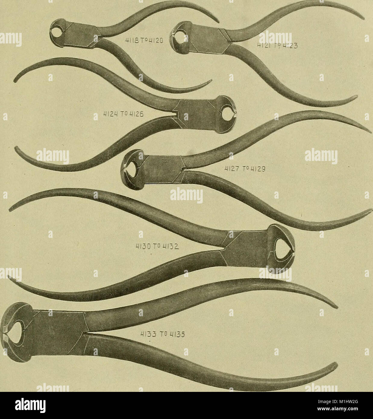 This 1899 catalogue presents a comprehensive list of supplies for ...