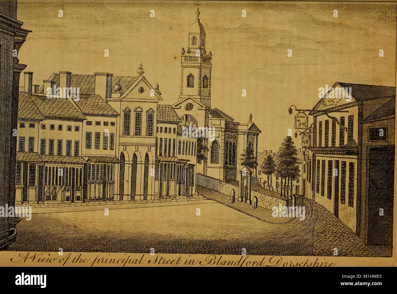 This work offers a detailed description of some of England's most ...