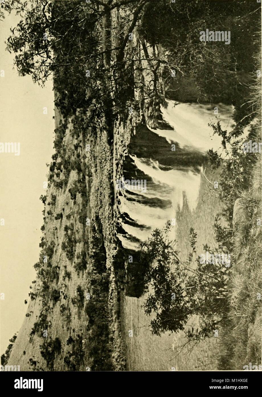 This journal covers biodiversity research focused on African ...