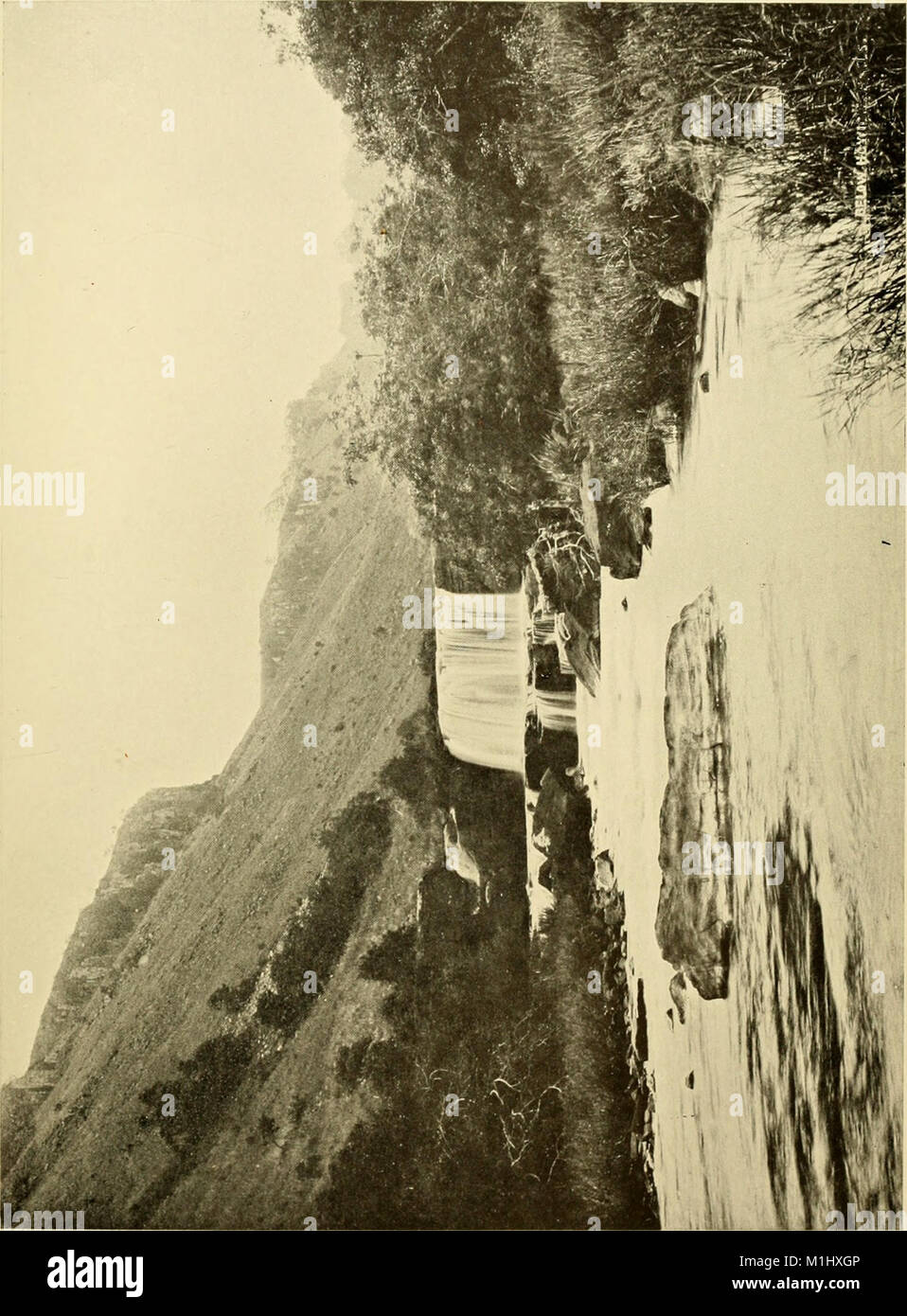 This journal (1909-1916) focuses on the biodiversity of African ...