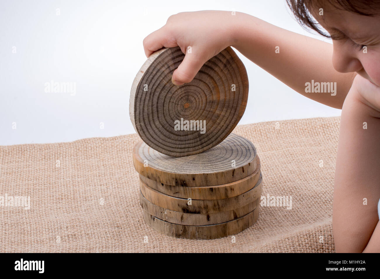 Wood Log cut in round thin pieces in hand Stock Photo - Alamy