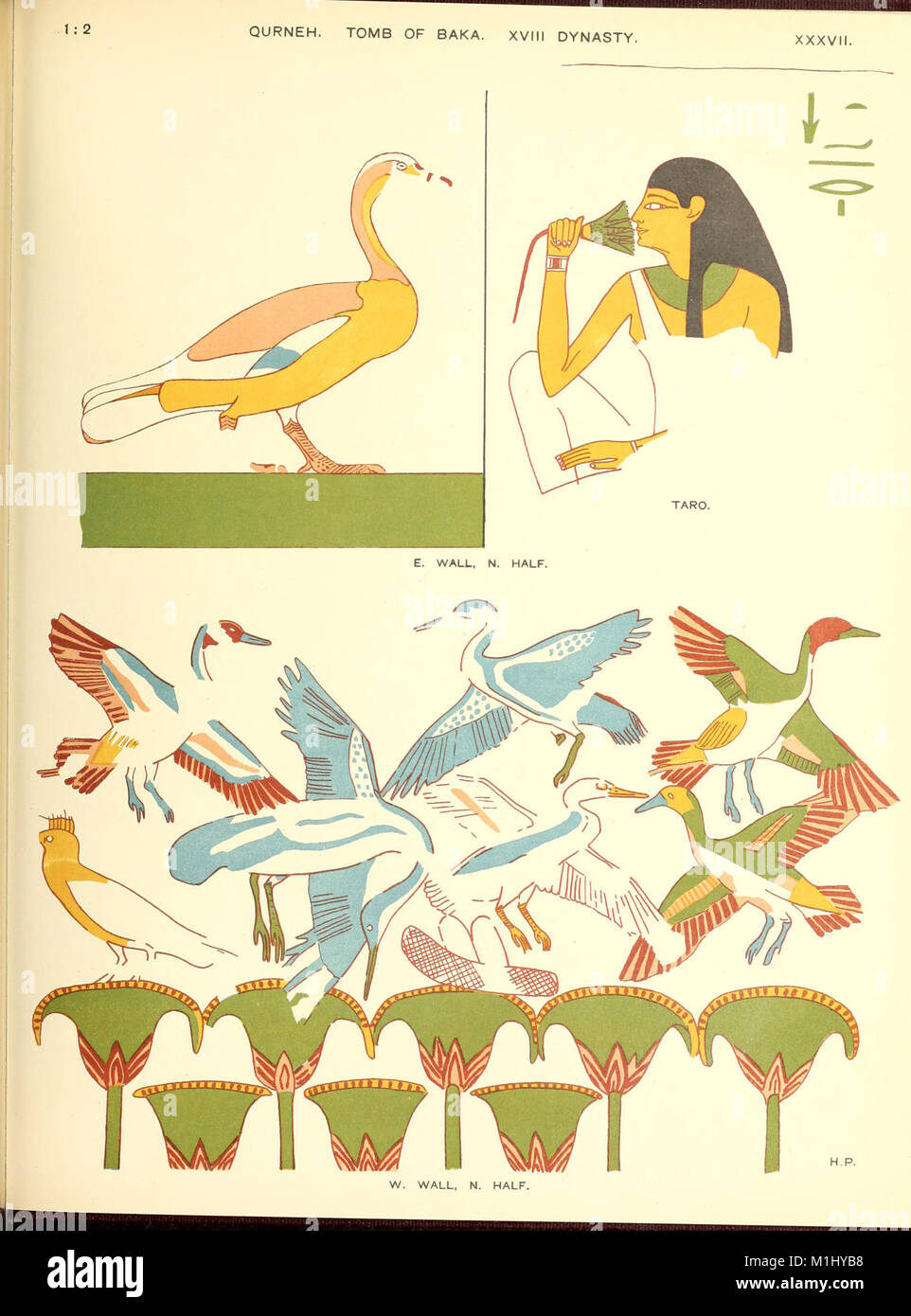 This 1895 collection of publications compiles various scientific ...