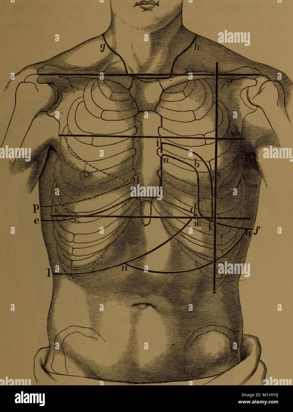 This 1890 manual provides detailed instructions on auscultation and ...