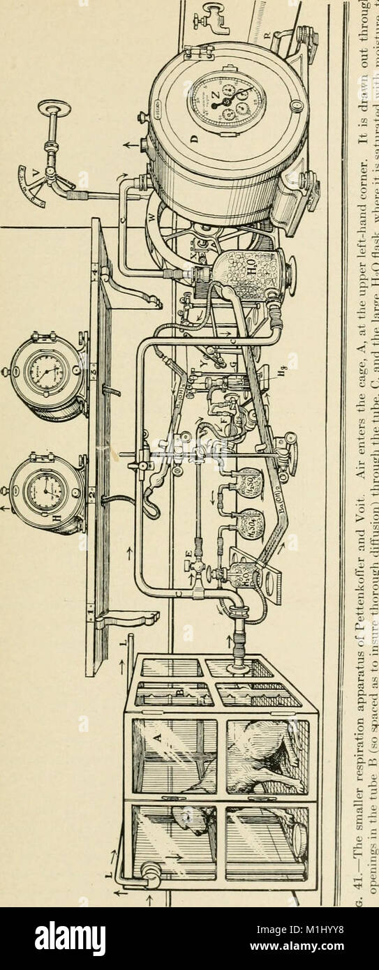 The 1906 textbook of human physiology covers the structure and function ...