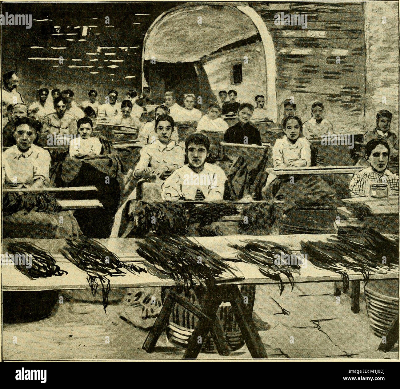 This work details the history of Cubaâ€™s struggle for independence ...