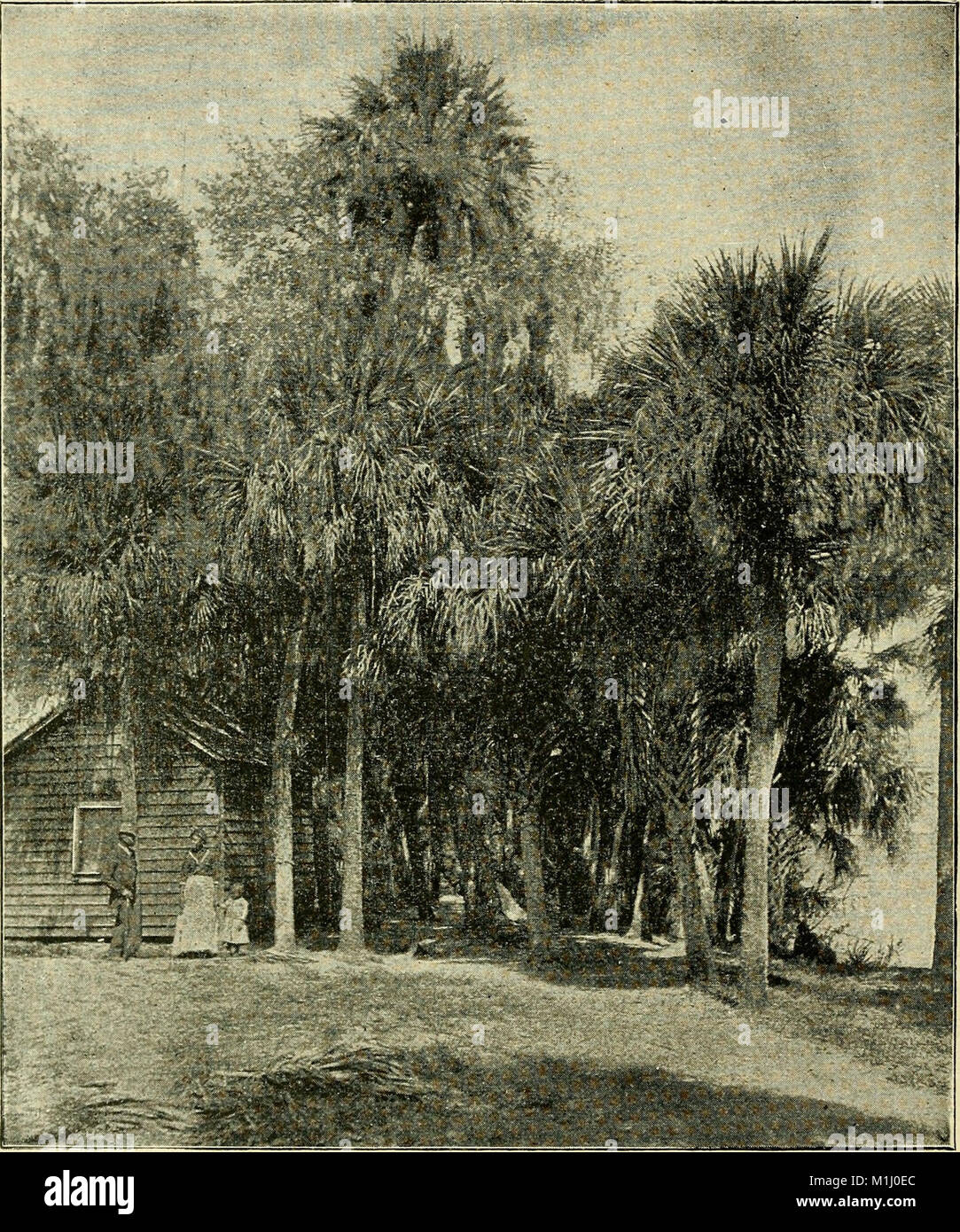 This 1898 work provides a comprehensive history of Cuba's struggle for ...