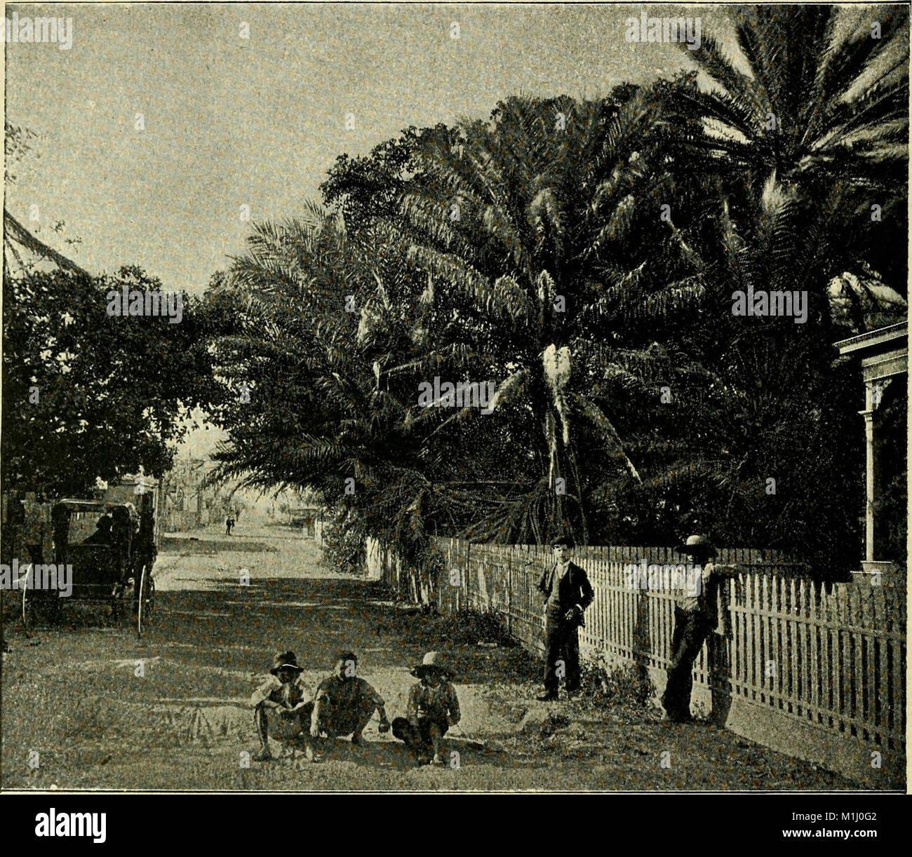 This 1898 account covers the history of Cuba's struggle for ...