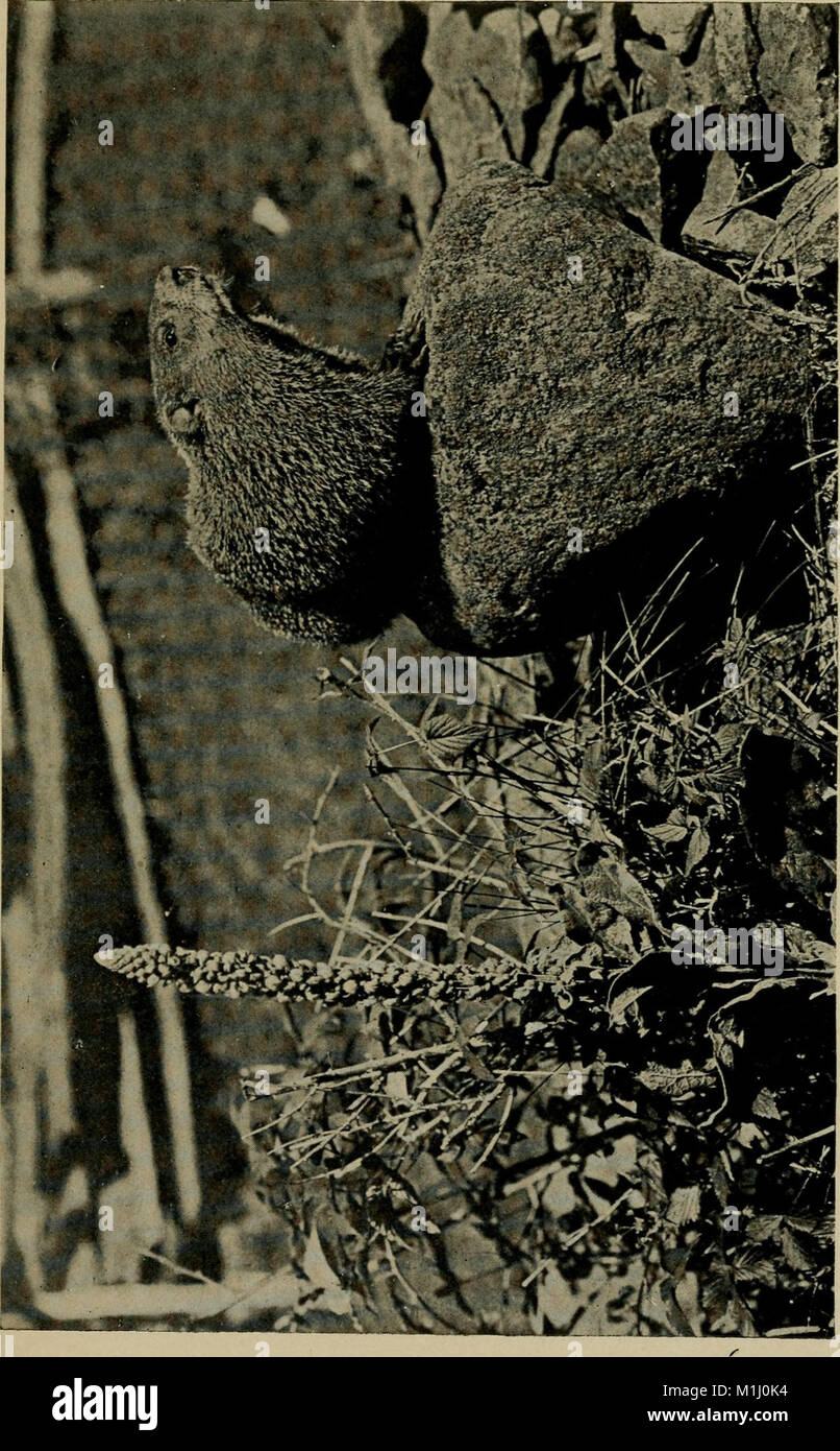 Photographic methods used to capture natural outdoor environments hi ...