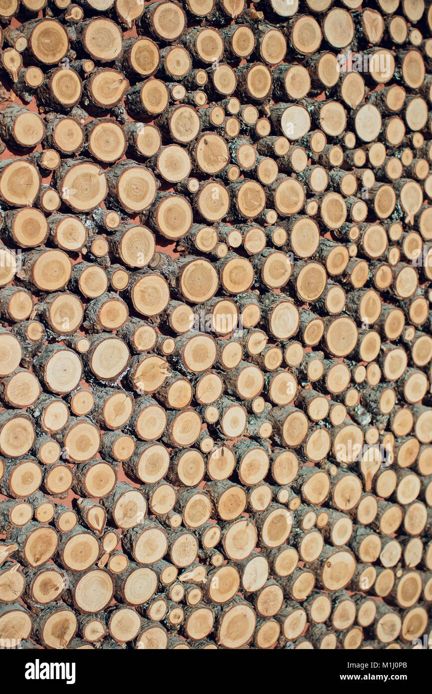 Large circular piece of wood cross section with tree ring texture ...