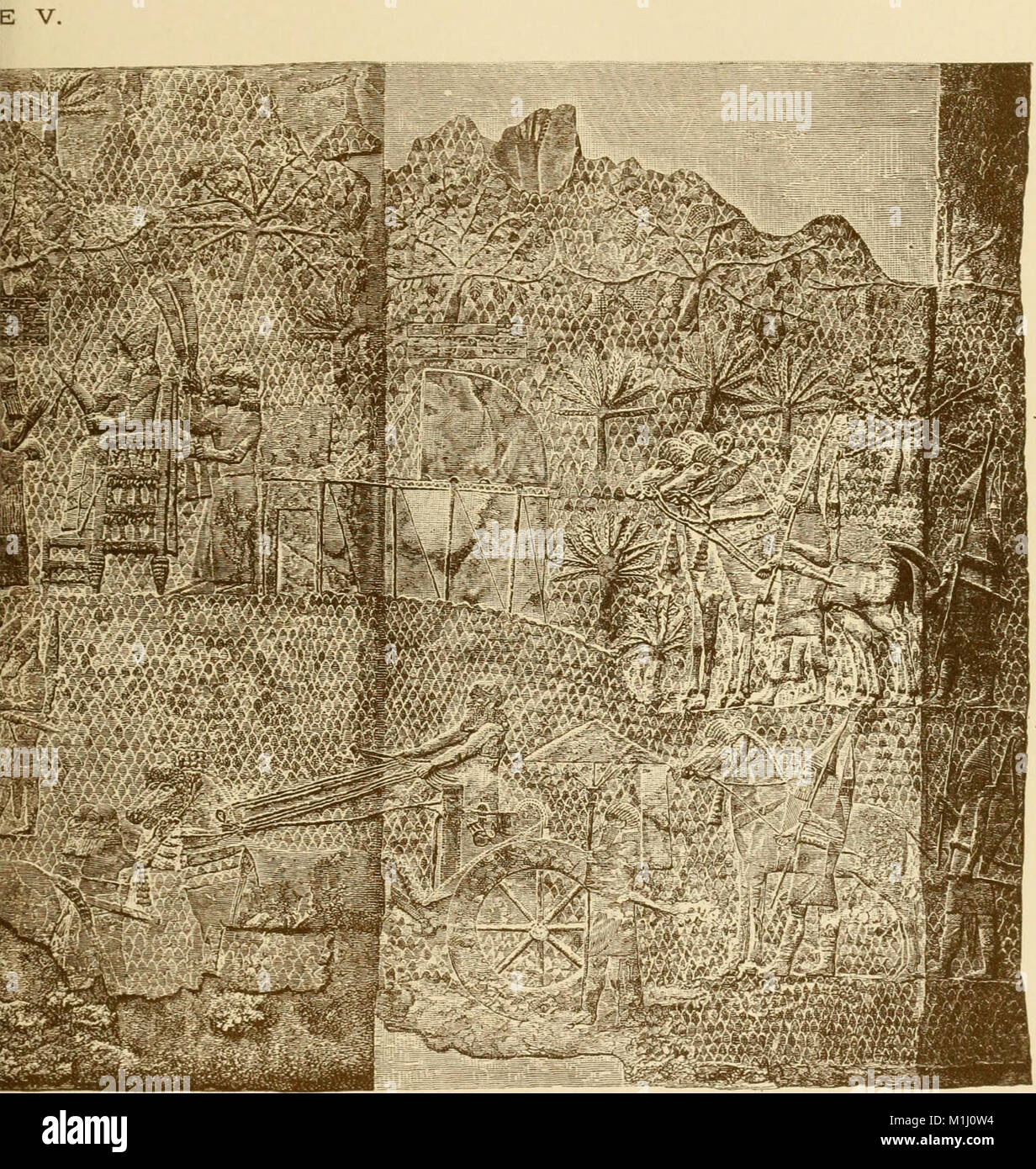 The 1905 'History of All Nations' provides a global historical overview ...