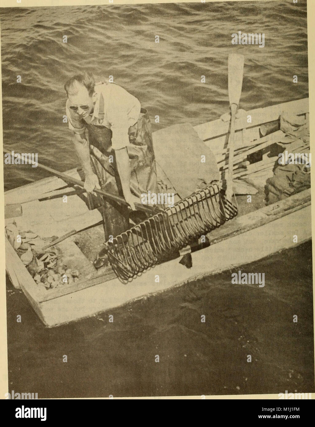 Shellfisheries hi-res stock photography and images - Alamy