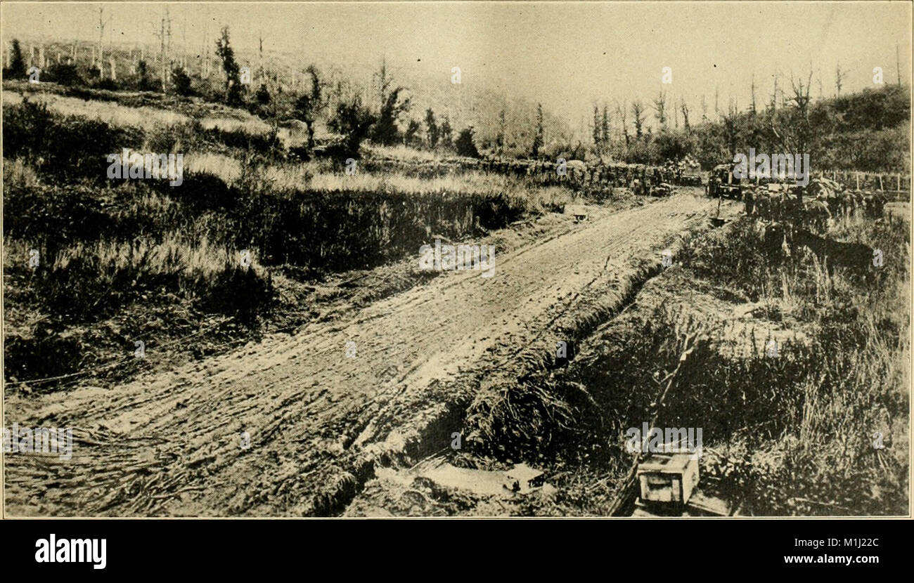 The 1910-1923 publication 'American Forestry' provides a comprehensive ...