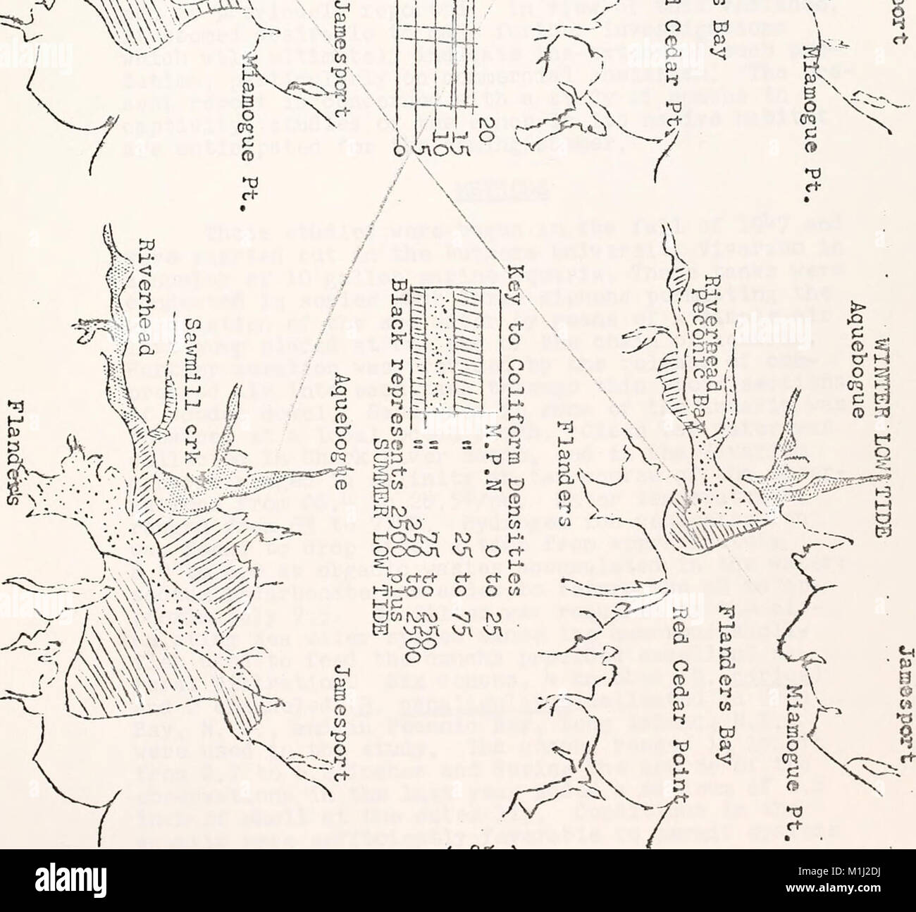 Shellfisheries hi-res stock photography and images - Alamy