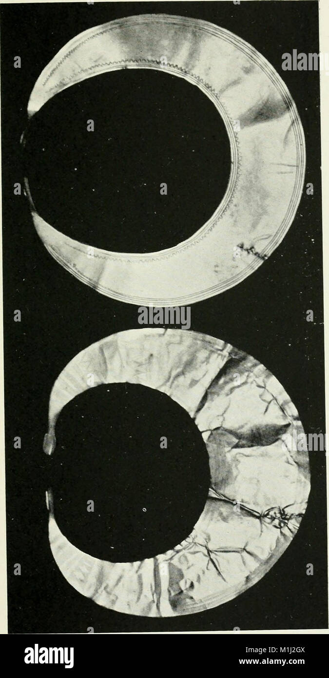 This 1915 book provides an introduction to prehistoric art, examining ...