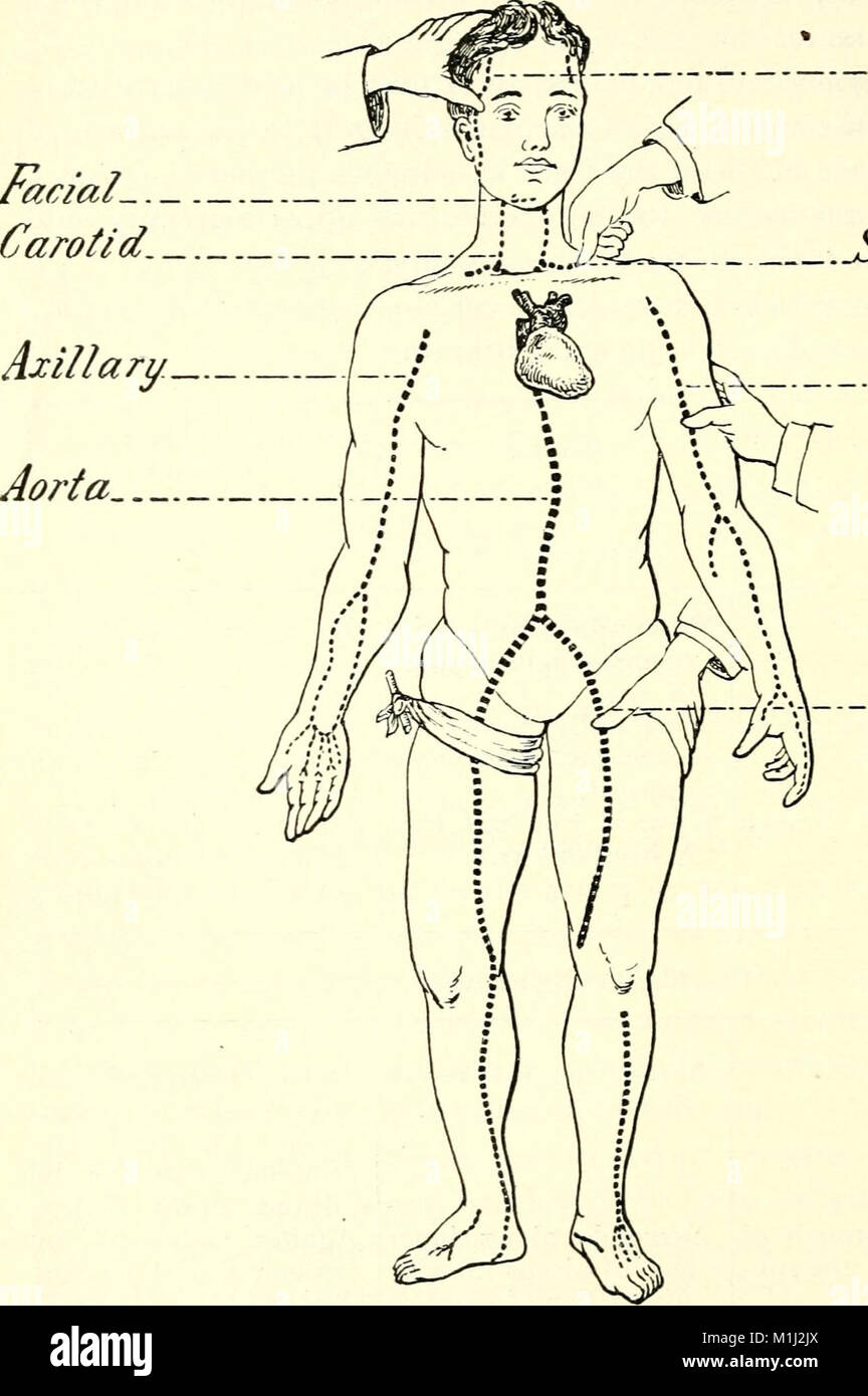 This 1908 manual by the American Red Cross provides essential ...