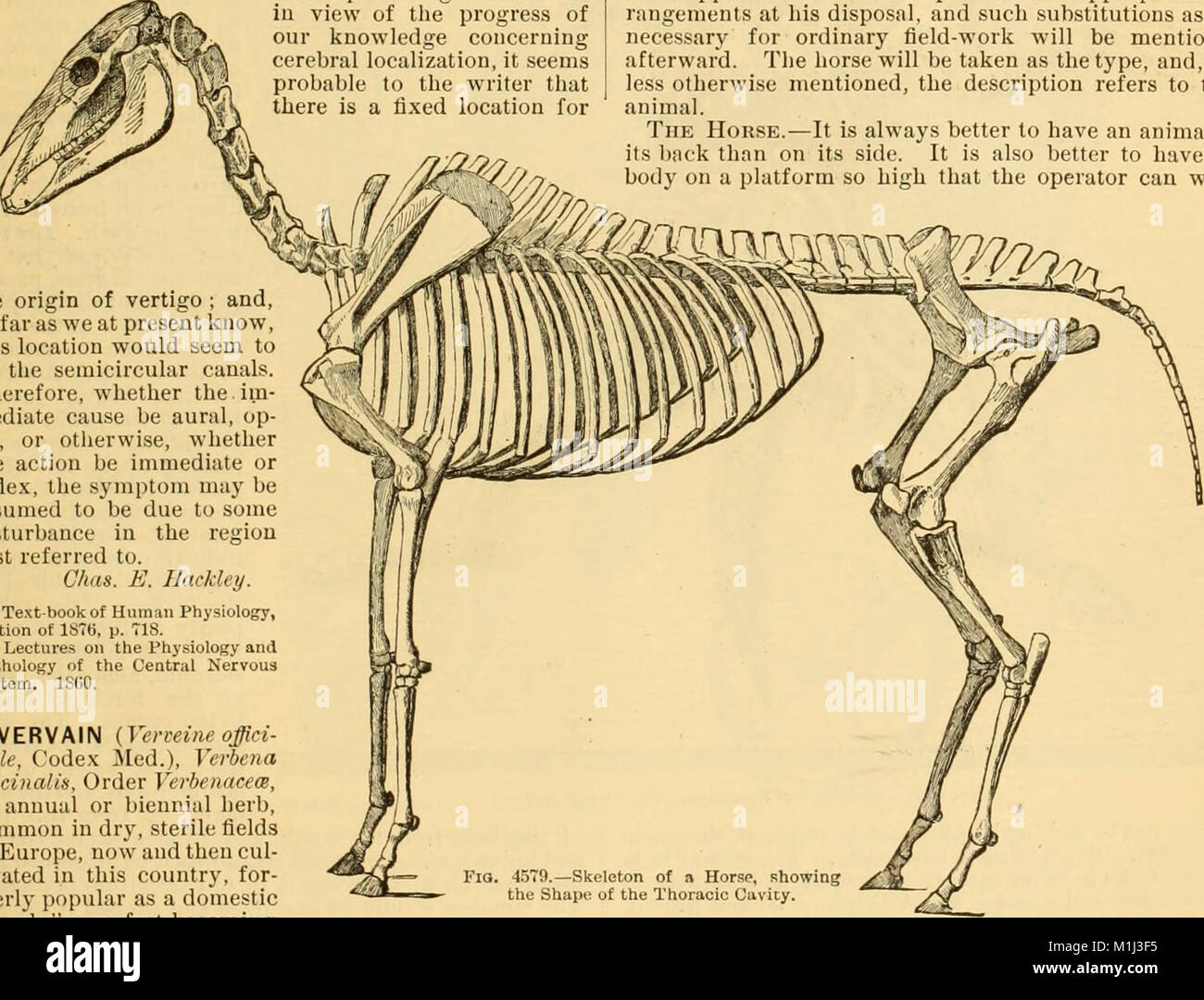 This comprehensive medical reference handbook, published in 1885 ...
