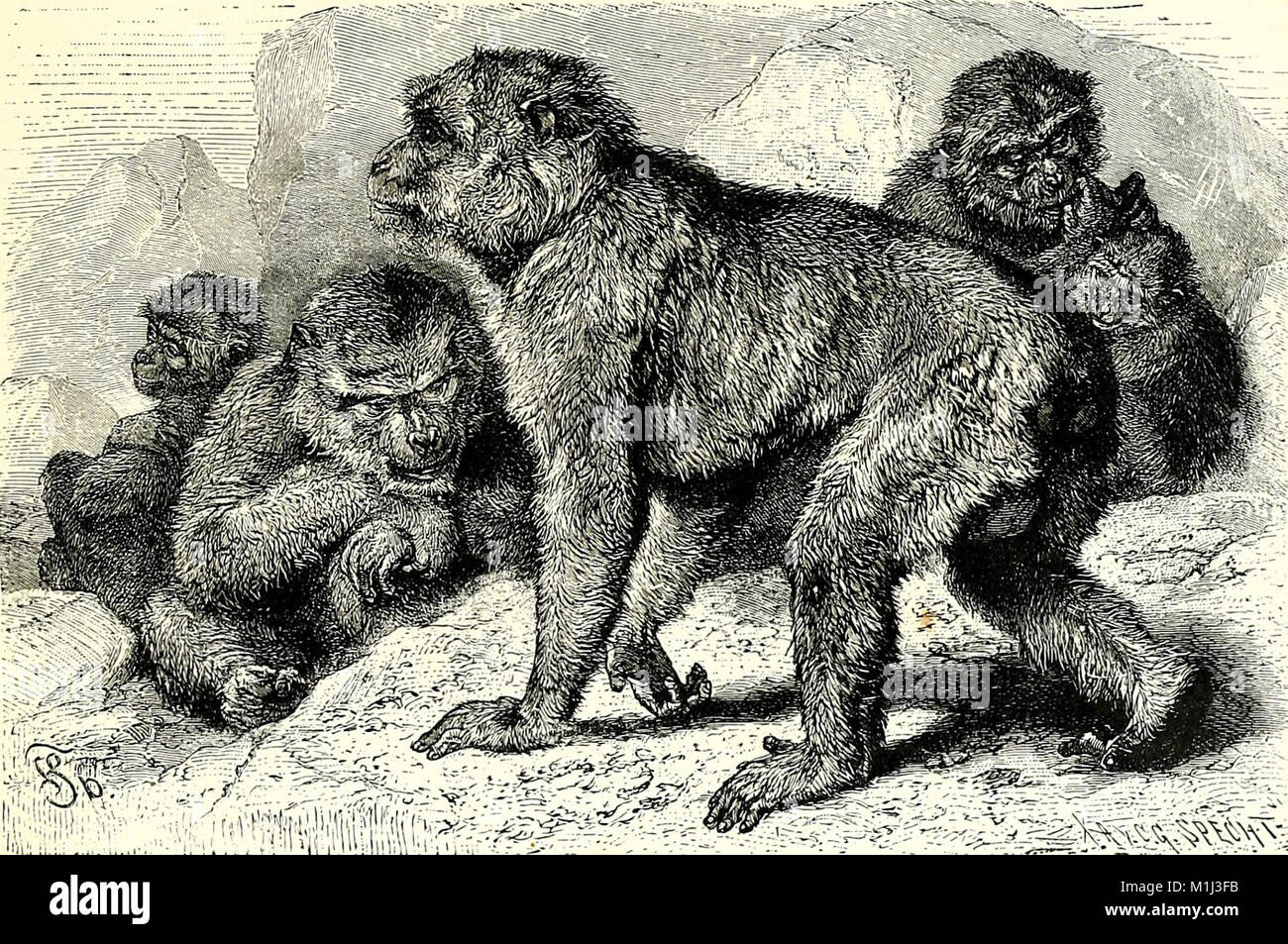 This 1900 publication offers a broad collection of animal facts ...