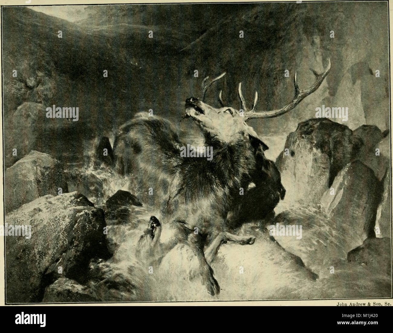 A 1901 collection showcasing fifteen artworks by Sir Edwin Landseer ...