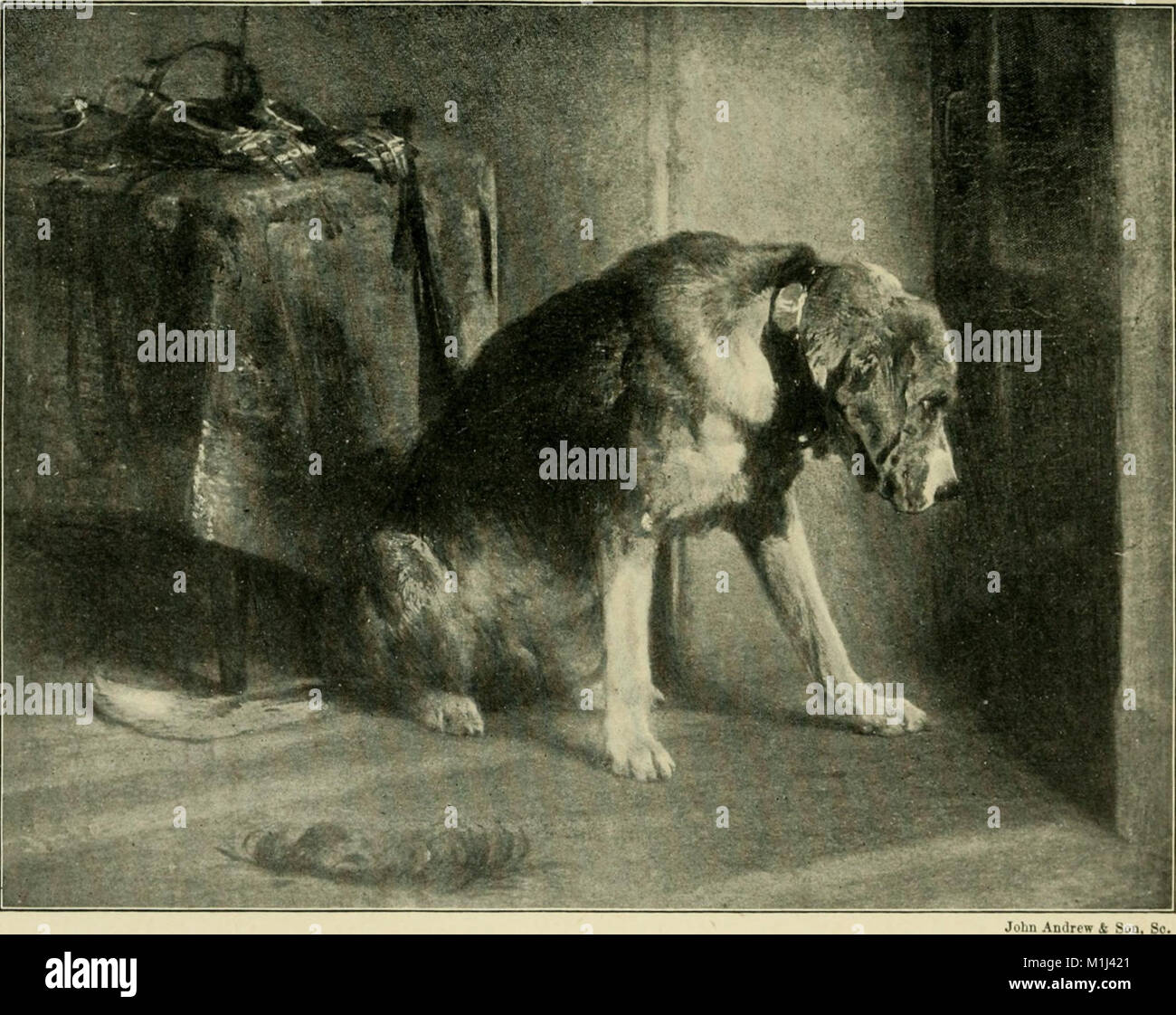 'Landseer - A Collection of Fifteen Pictures and a Portrait of the ...