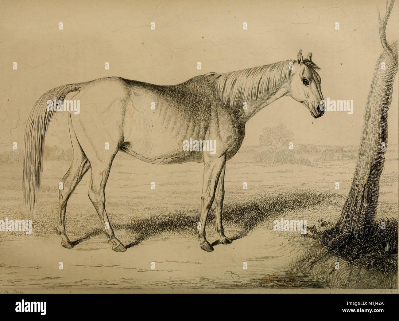 First published in 1839, this magazine covers the American turf ...