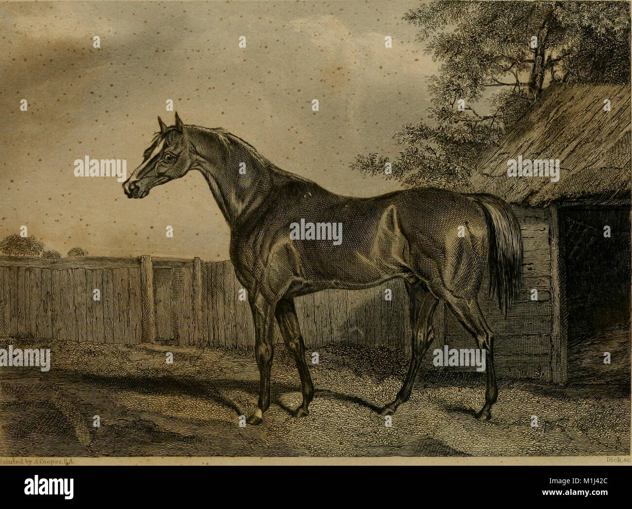 The American Turf Register and Sporting Magazine, first published in ...