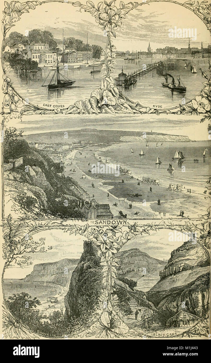 This 1885 guide offers detailed illustrations and descriptions of ...