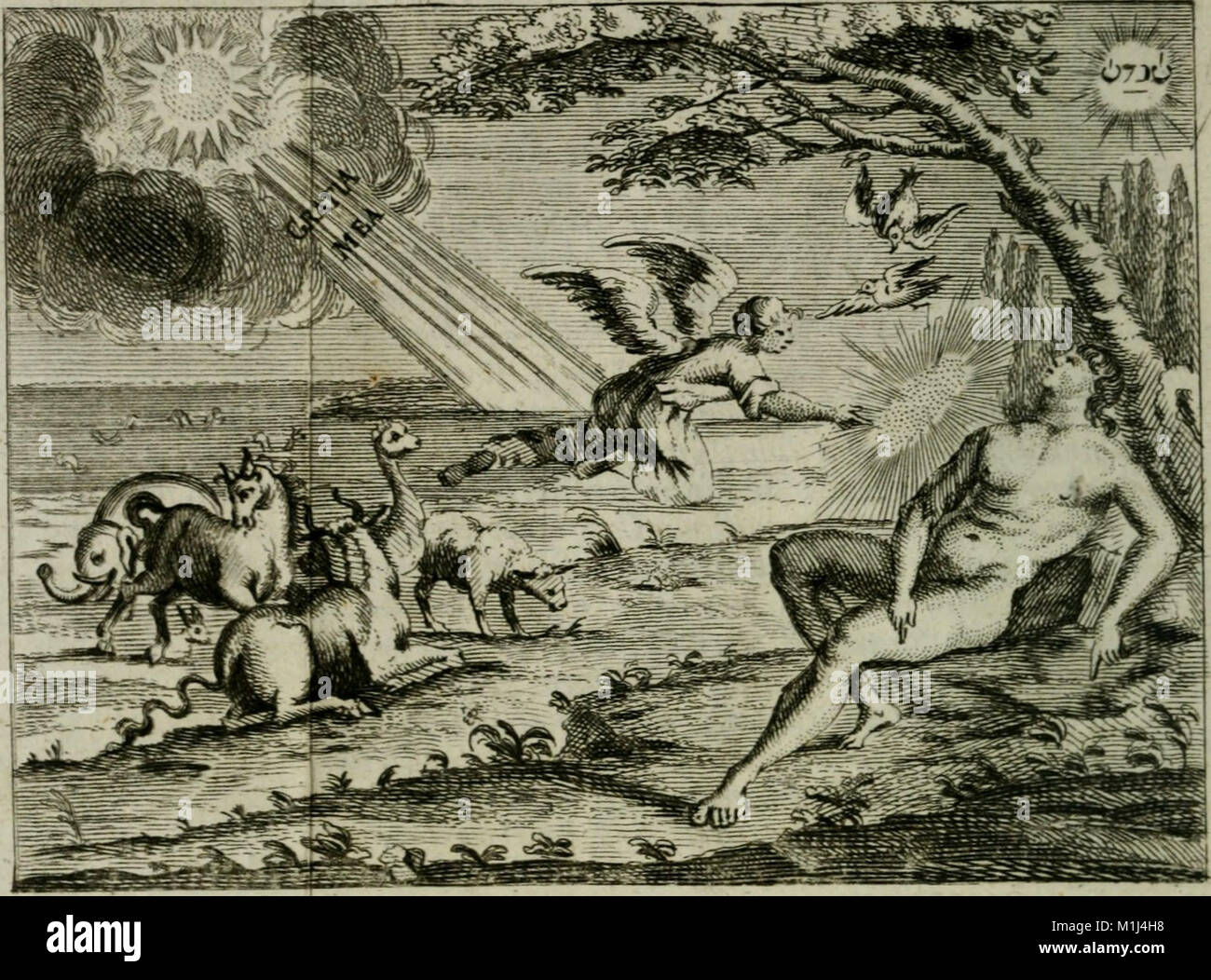 This essay discusses the origins of written language, focusing on the ...