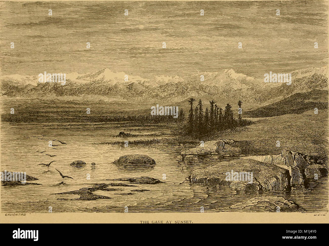 'A Tour Through the Pyrenees' (1875) offers a travel account detailing ...
