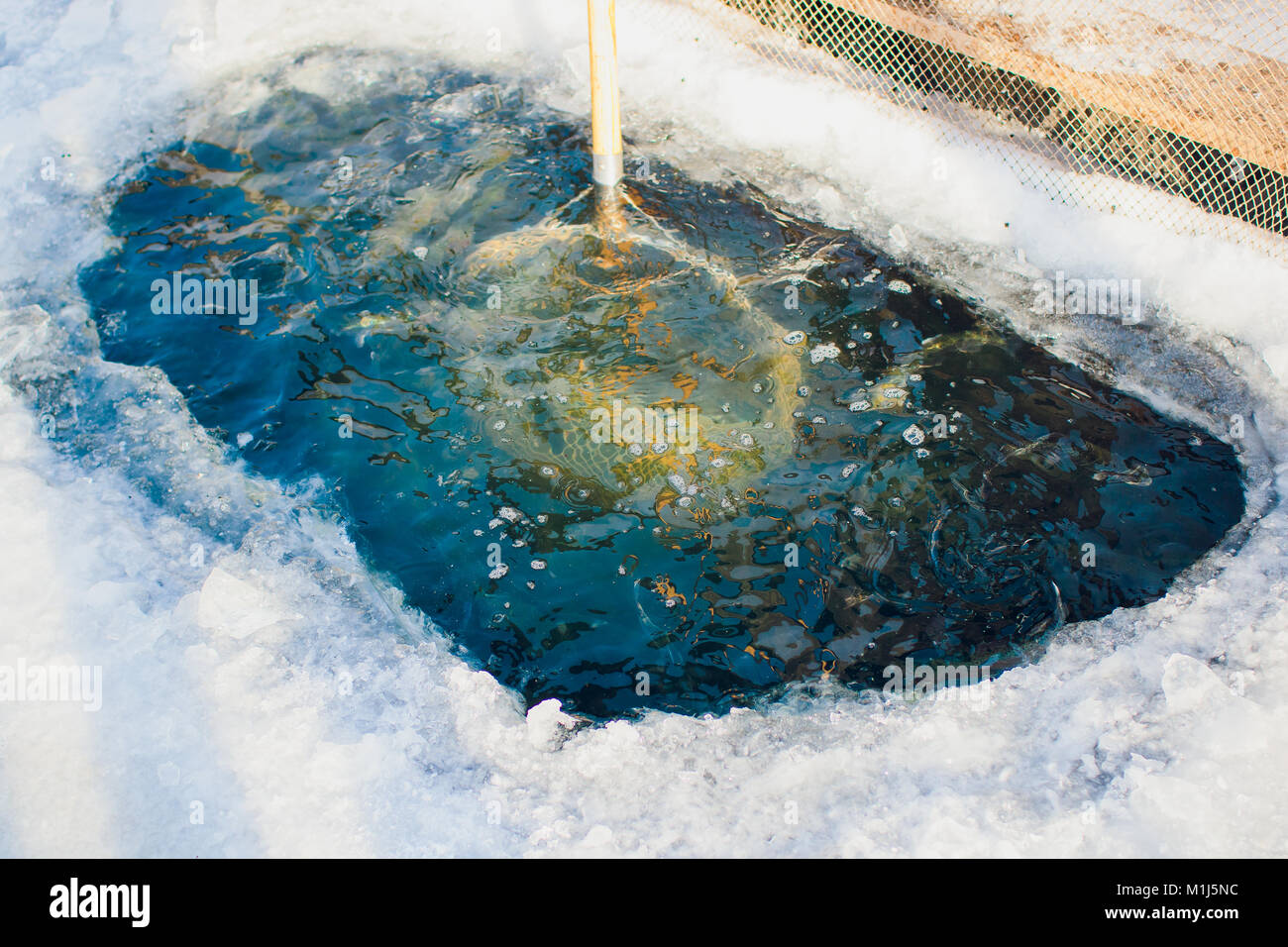 farm trout winter ice-hole fish lake catching a mace food Stock Photo ...